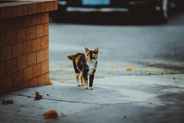 A beginner's guide to photography - Rest Less