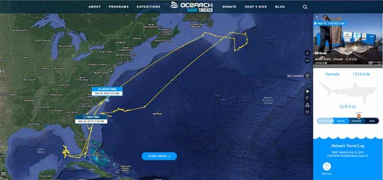 21 fun things to do online when you're bored - Rest Less