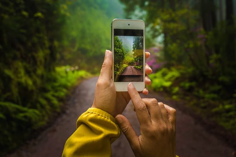 How to take better photos with your phone - Rest Less