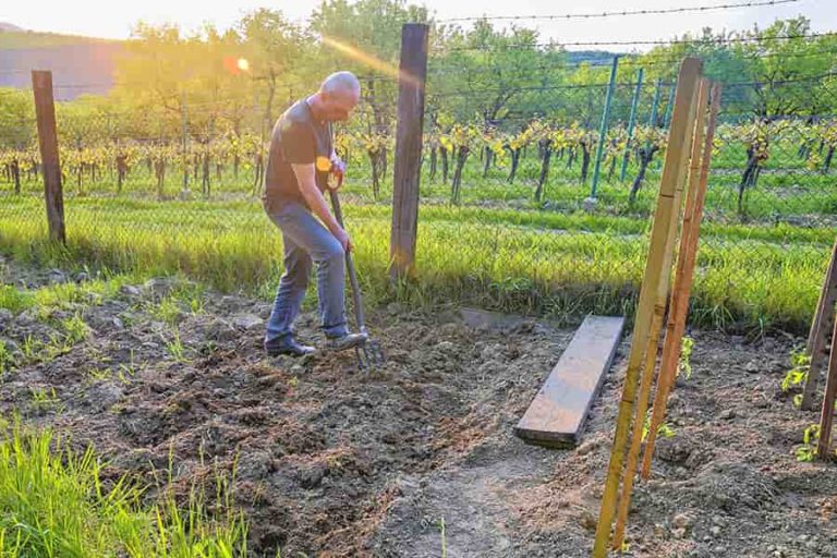 How to apply for an allotment - Rest Less