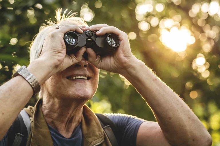 A beginner's guide to birdwatching - Rest Less