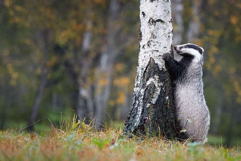 32 ways to connect with nature and feel inspired - Rest Less