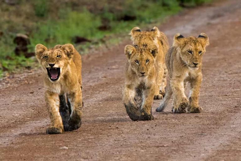 32 ways to connect with nature and feel inspired - Rest Less