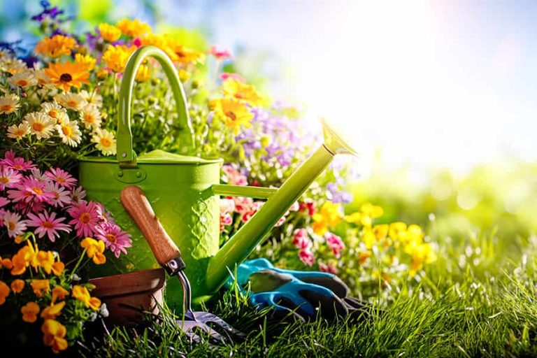 32 ways to connect with nature and feel inspired - Rest Less