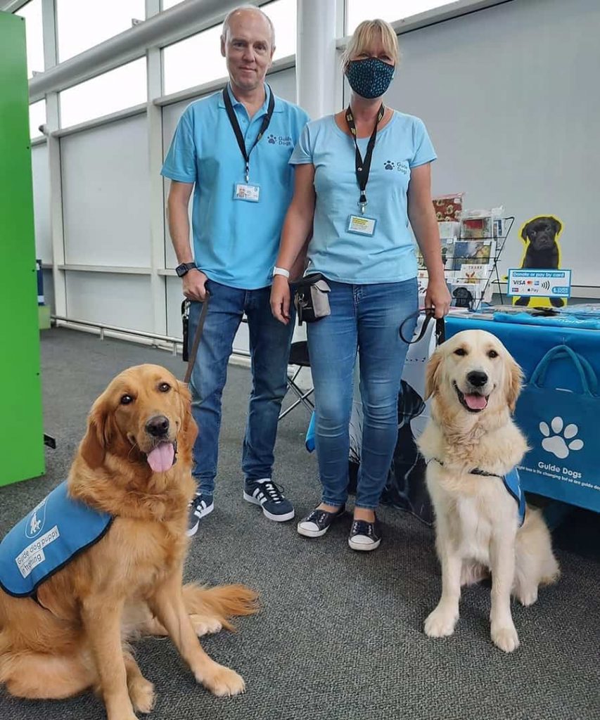 Volunteering as a puppy raiser for Guide Dogs UK - Rest Less