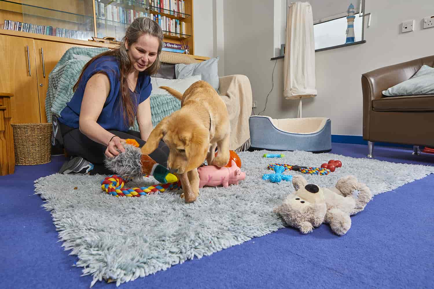 Volunteering as a puppy raiser for Guide Dogs UK - Rest Less