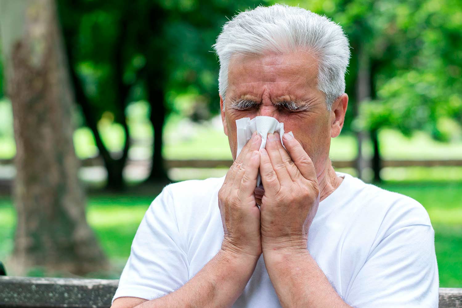 Hay fever - causes, symptoms, and treatment - Rest Less
