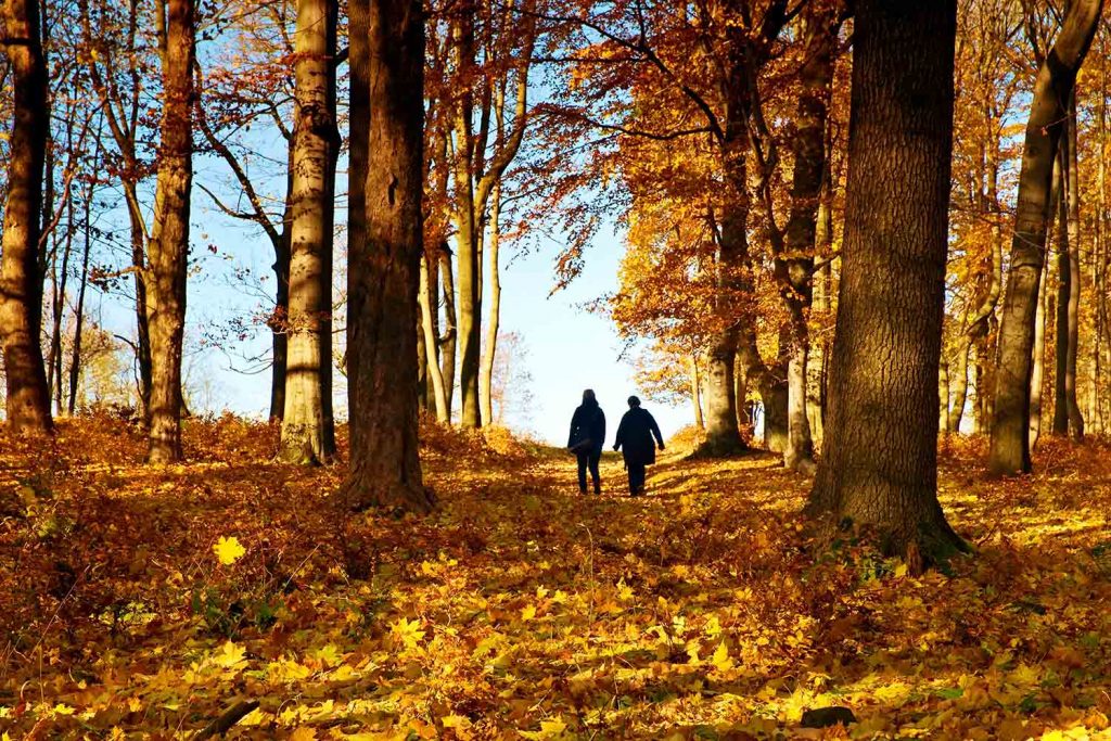 Feeling the end of summer blues? Here are 10 reasons why autumn is the ...