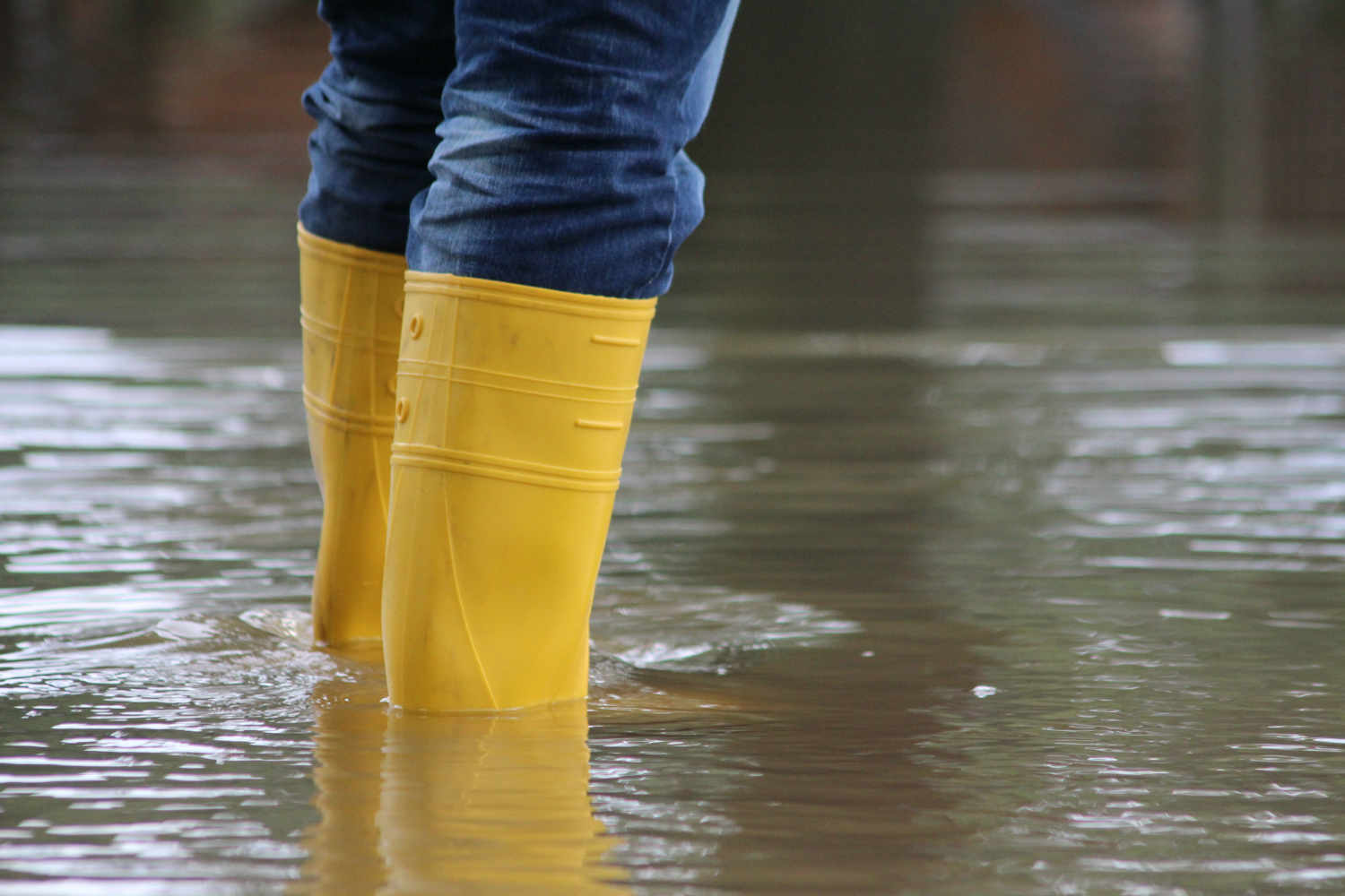 What Should I Do If My Home Is Flooded Rest Less