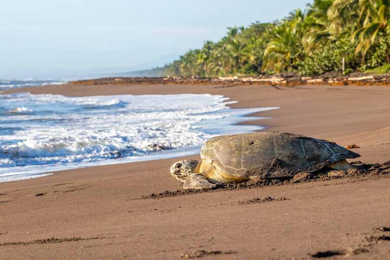 10 unique holiday destinations - Rest Less