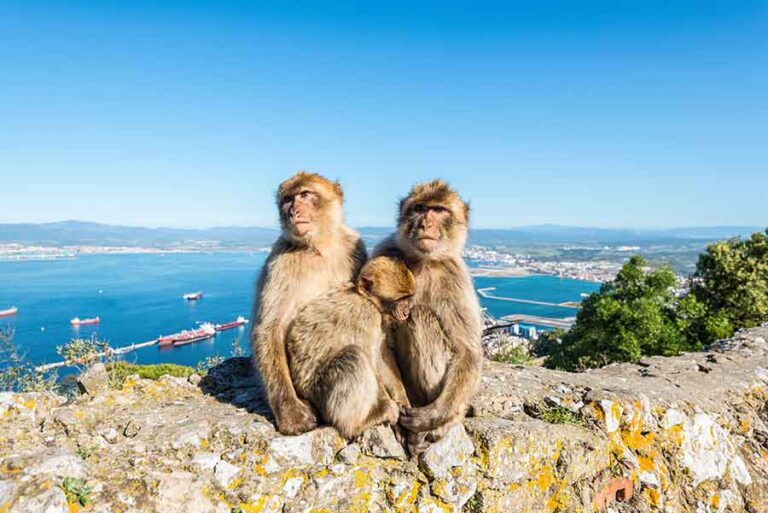 10 unique holiday destinations - Rest Less