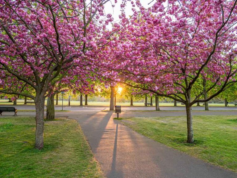 12 things to do and places to visit in the UK in March - Rest Less