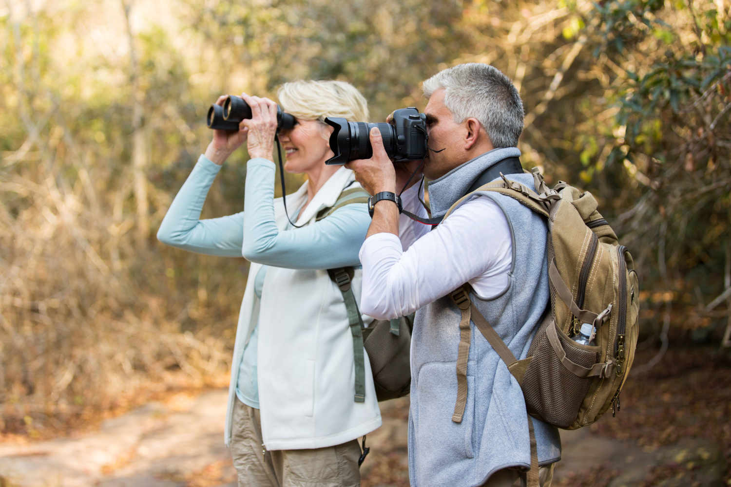 8 of the best birdwatching destinations around the world - Rest Less