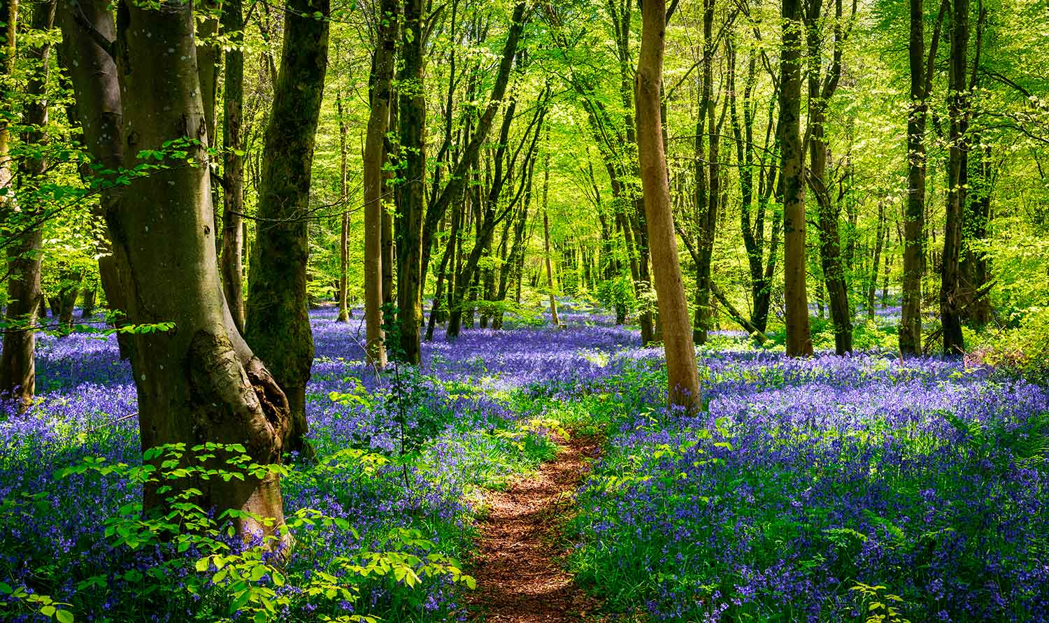 12 things to do and places to visit in April in the UK - Rest Less