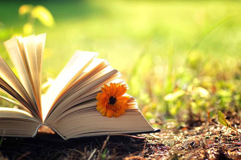Books, literature and writing - Rest Less