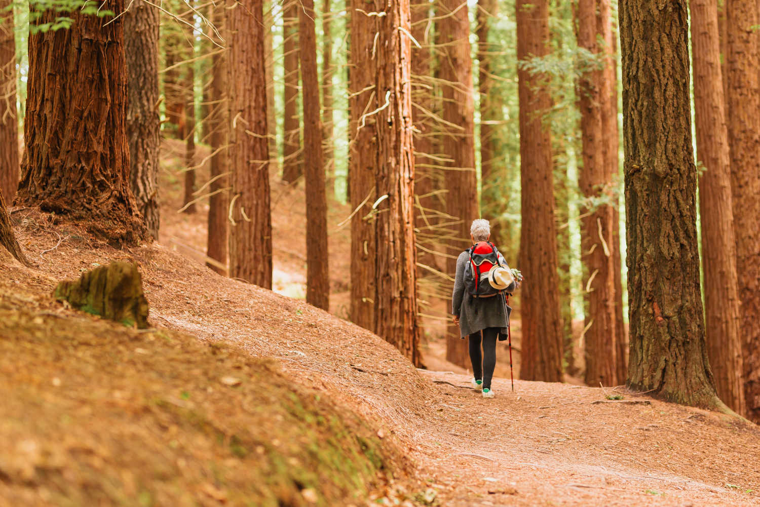 Rest Less Real Life Retirement Stories: Kate Smethers, 71 - Rest Less