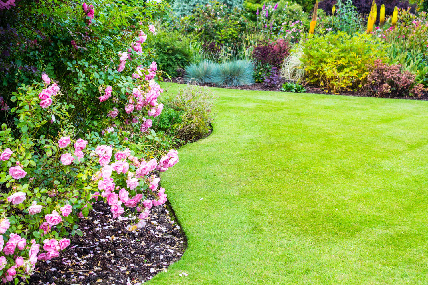 11 ways to kit out your garden for free or next to nothing - Rest Less