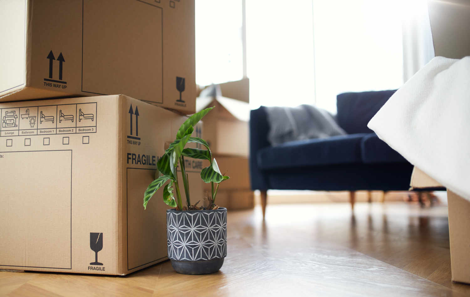 How to clear out a house quickly - Rest Less