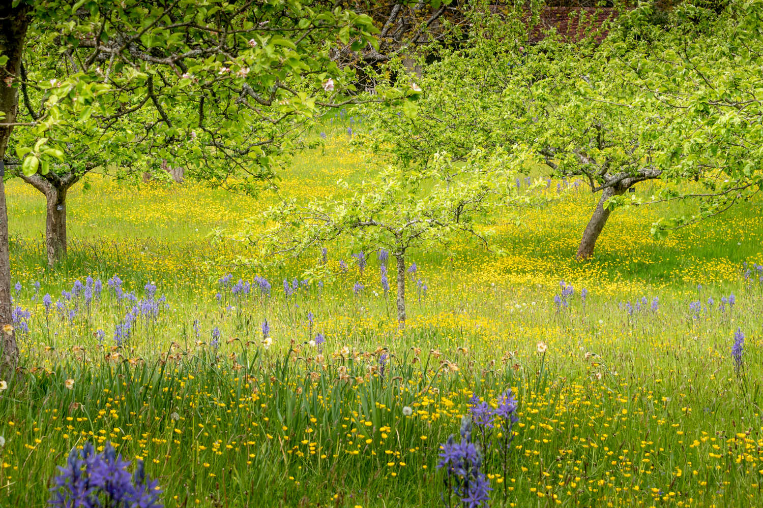 Rest Less Real Life Retirement Stories: Sara Wasem, 60 - Rest Less