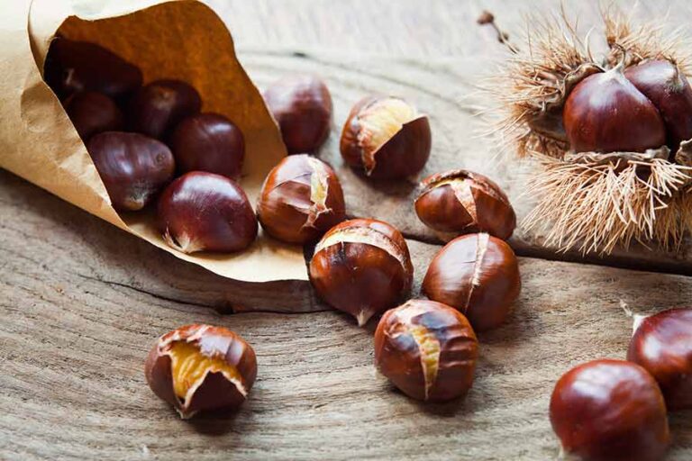 10 high-carb foods with powerful health benefits - Rest Less