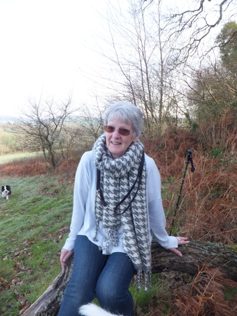 A Recipe for History: Just Causes by Georgia Piggott - Rest Less