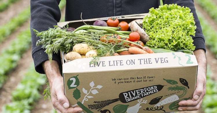 Living Life on the Veg: how I am coping with a family of vegetarians ...
