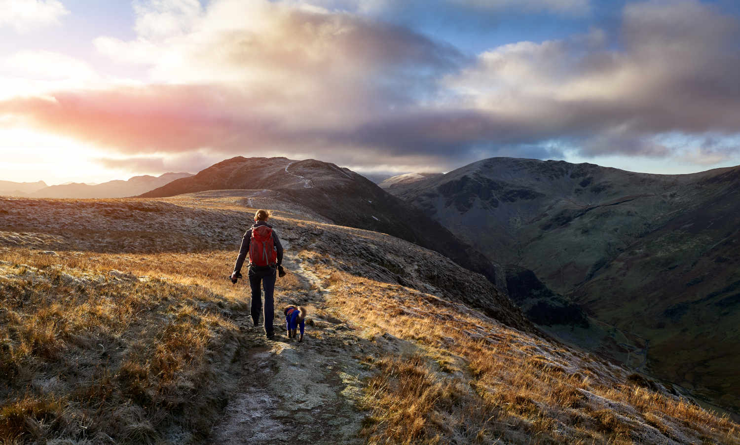 How to plan for retirement when you live alone - Rest Less