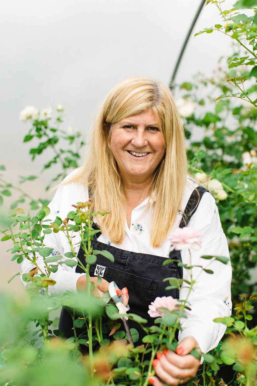 From seeds to success – flower farmer Roz shares tips on growing ...
