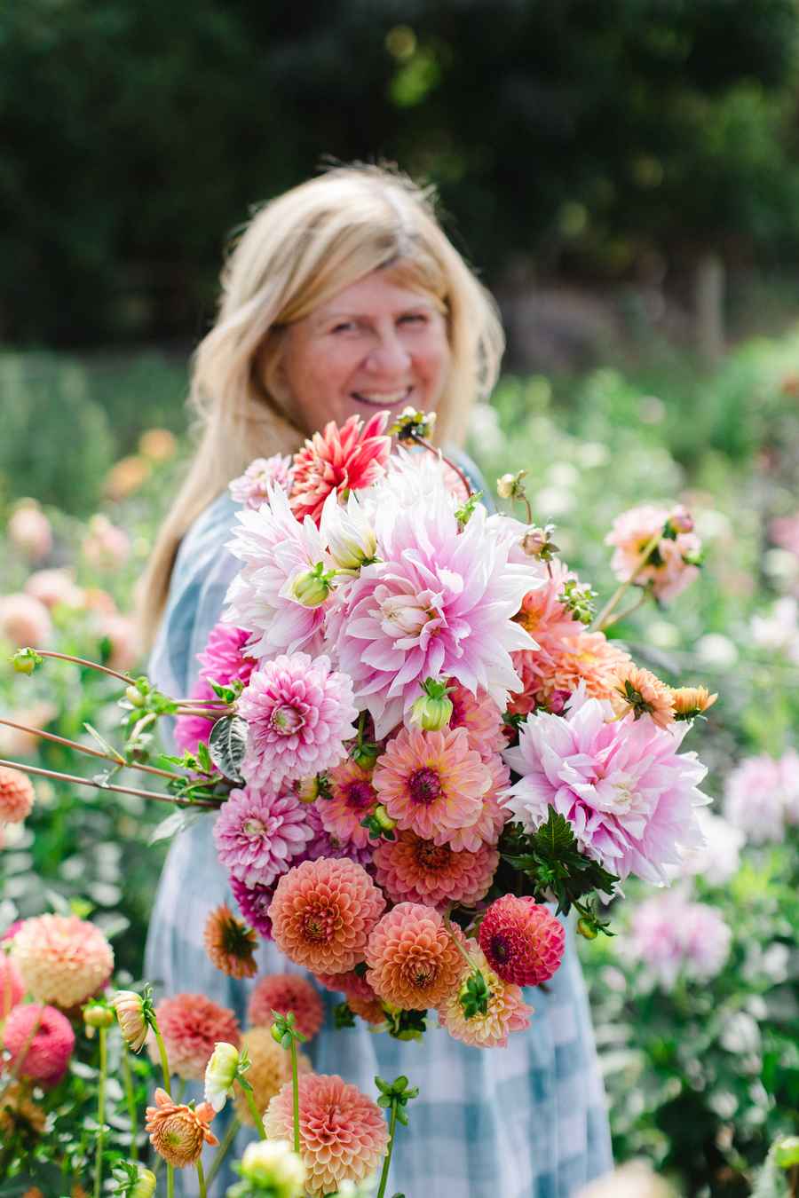 From seeds to success – flower farmer Roz shares tips on growing ...