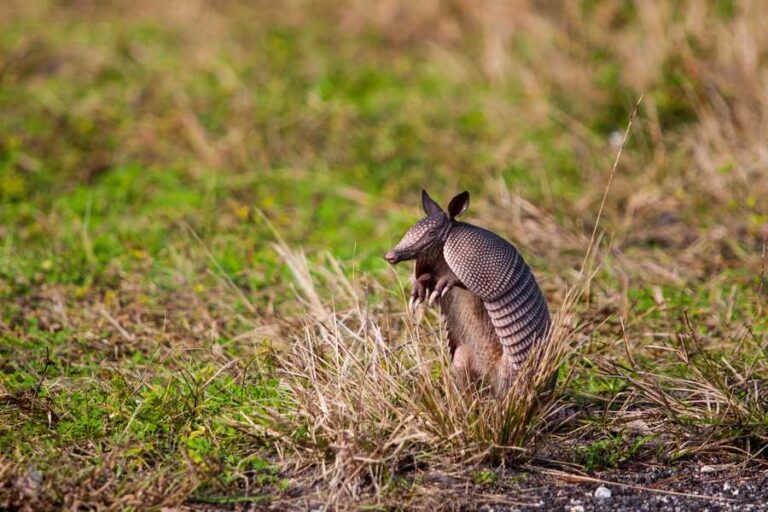 50 fascinating facts about the world - Rest Less