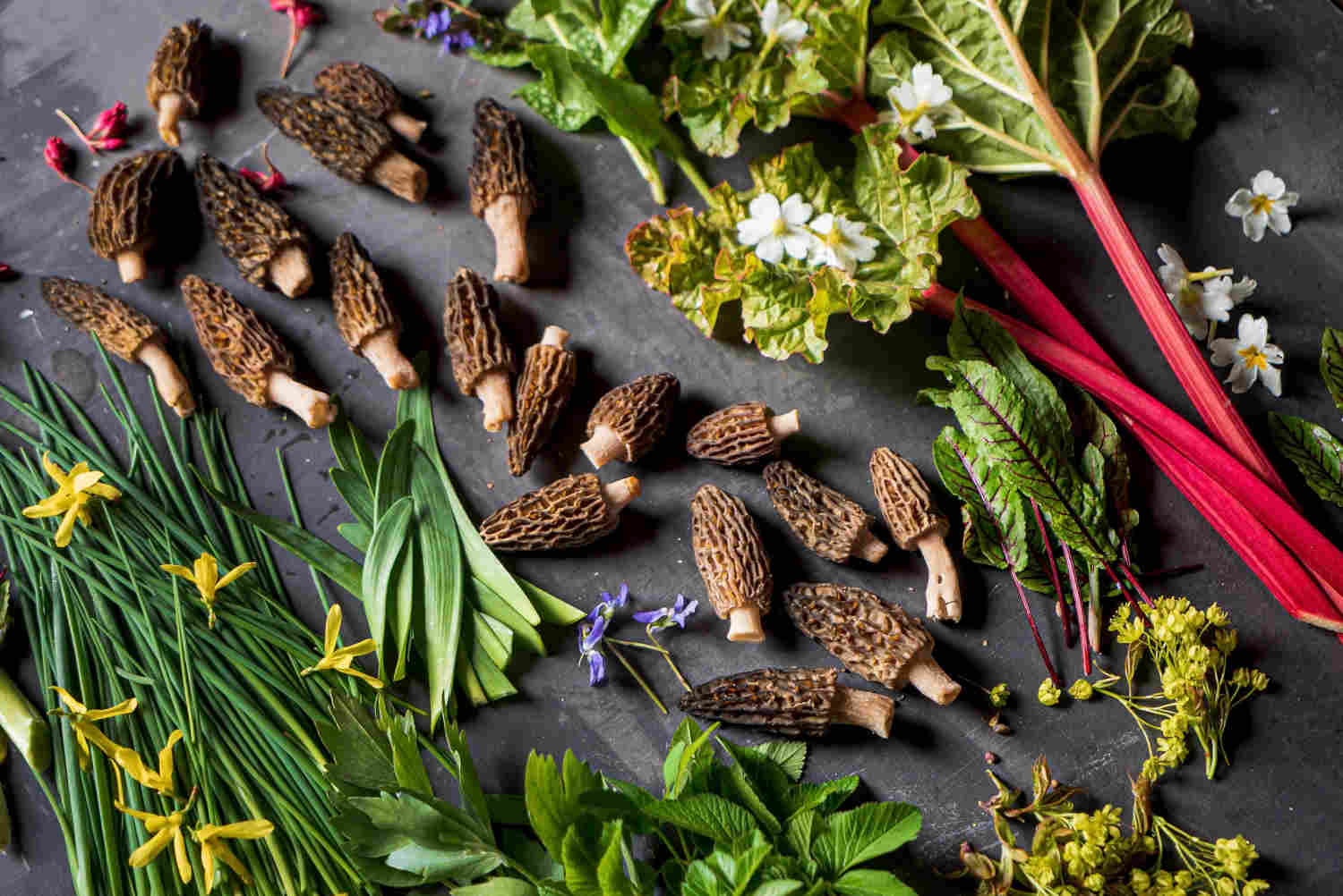 11 foraged food recipes - Rest Less