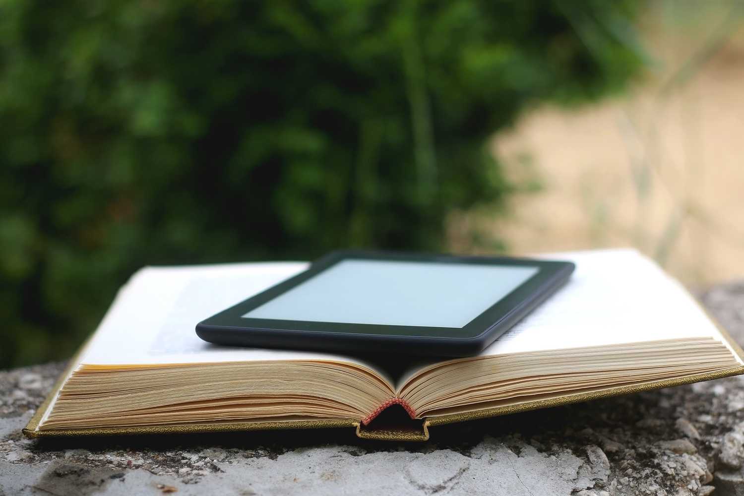 Monthly book reviews – 5 gripping reads - Rest Less