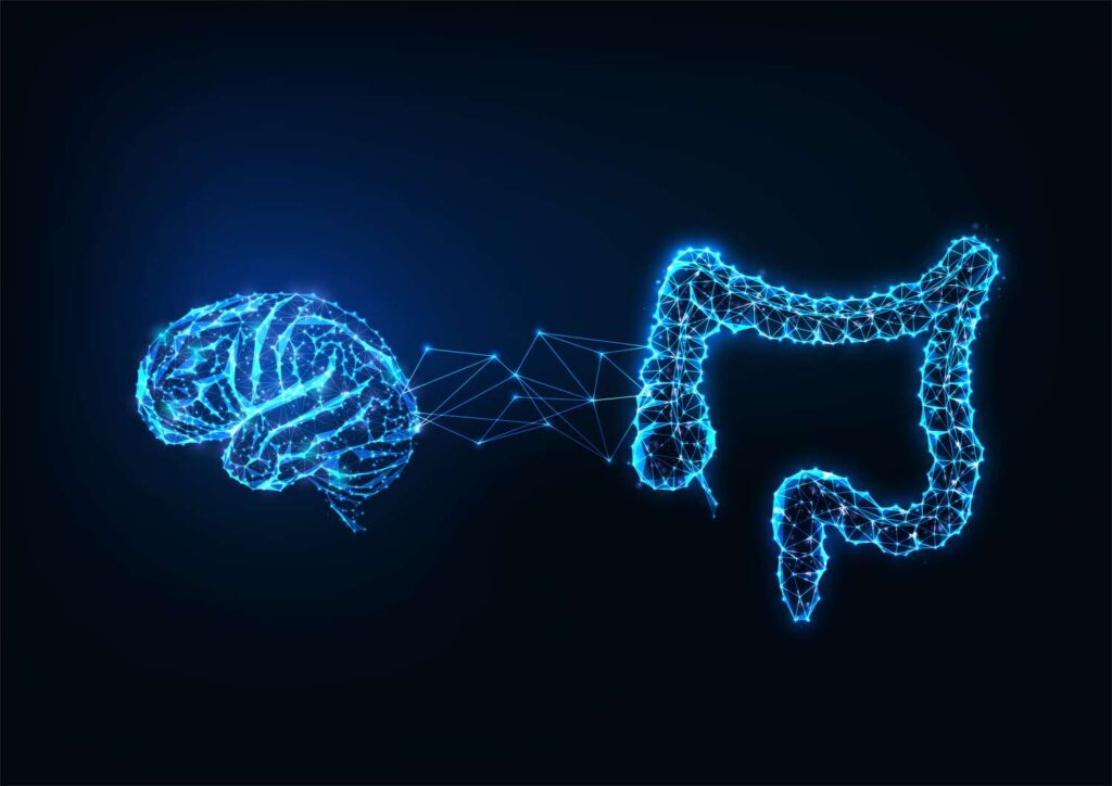 The gut-brain connection – what is it and how does it relate to health ...