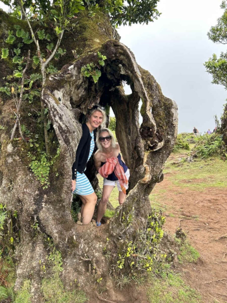 10 of the best things to see and do in Madeira - Rest Less