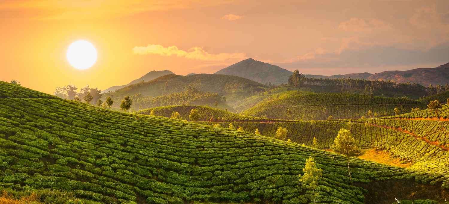 8 fascinating tours where you can really get to know a country - Rest Less