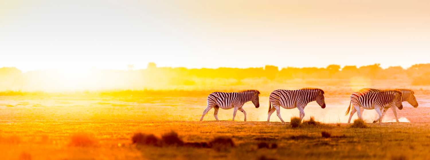 From Arctic to Equator - 11 amazing adventures for every season - Rest Less