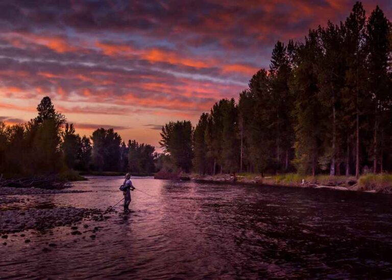 A beginner’s guide to fly fishing - Rest Less