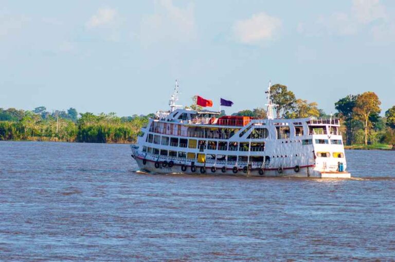 10 of the best things to do in the Amazon rainforest - Rest Less
