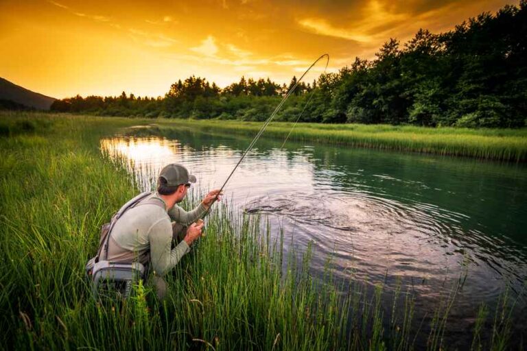 A beginner’s guide to fly fishing - Rest Less