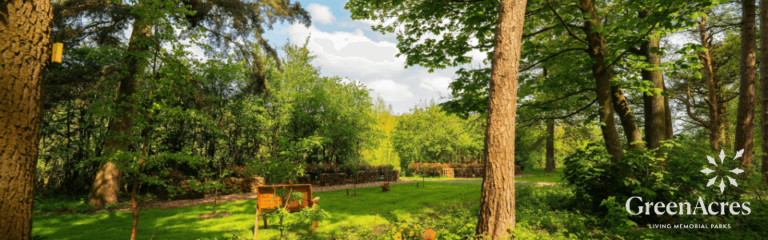 10 easy things to draw for beginners - Rest Less