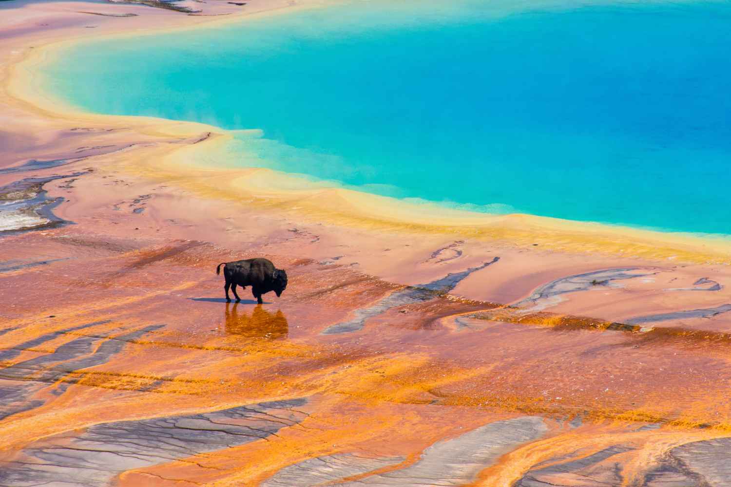11 colourful travel destinations with extraordinary wildlife - Rest Less
