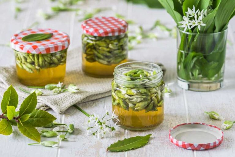11 wild garlic recipes for springtime - Rest Less
