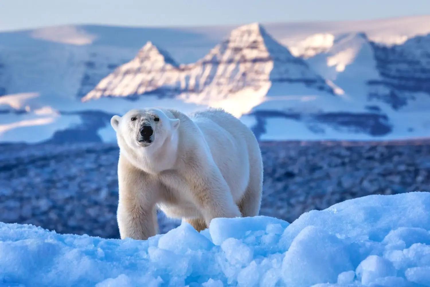 Coolcations - 10 breathtaking destinations with cooler climates - Rest Less