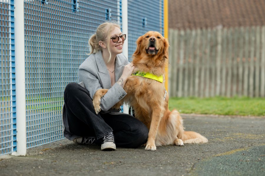 6 amazing things you might not know about guide dogs - Rest Less