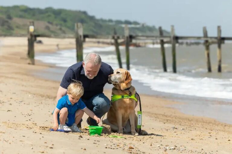 6 amazing things you might not know about guide dogs - Rest Less