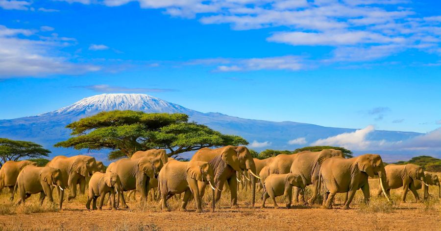 13 spectacular countries to add to your travel wish list - Rest Less