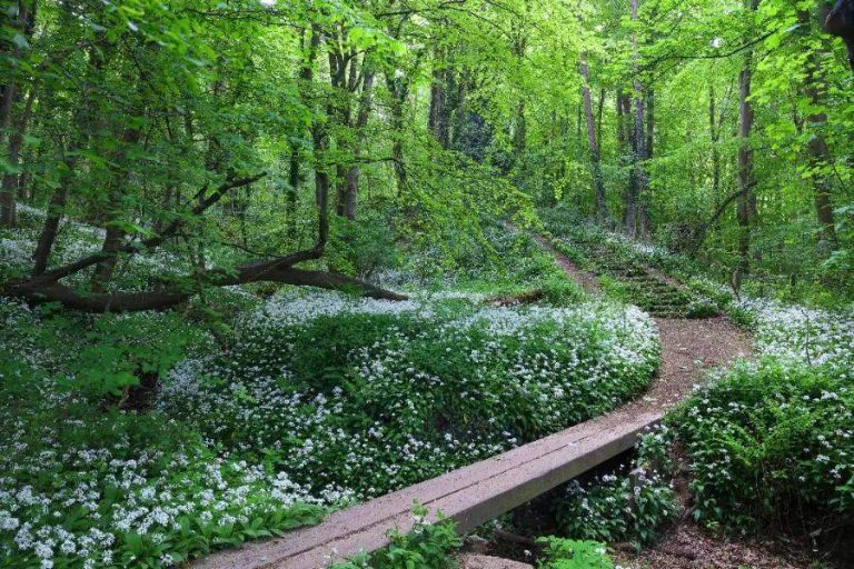 7 of the best walks in Northeast England - Rest Less